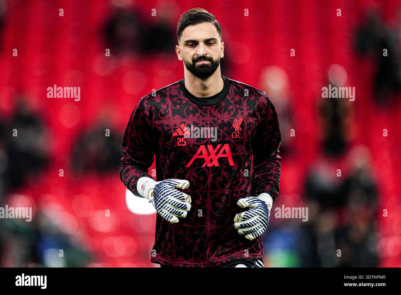 LIVERPOOL, ENGLAND - NOVEMBER 26: Liverpool goalkeeper Giorgi ...