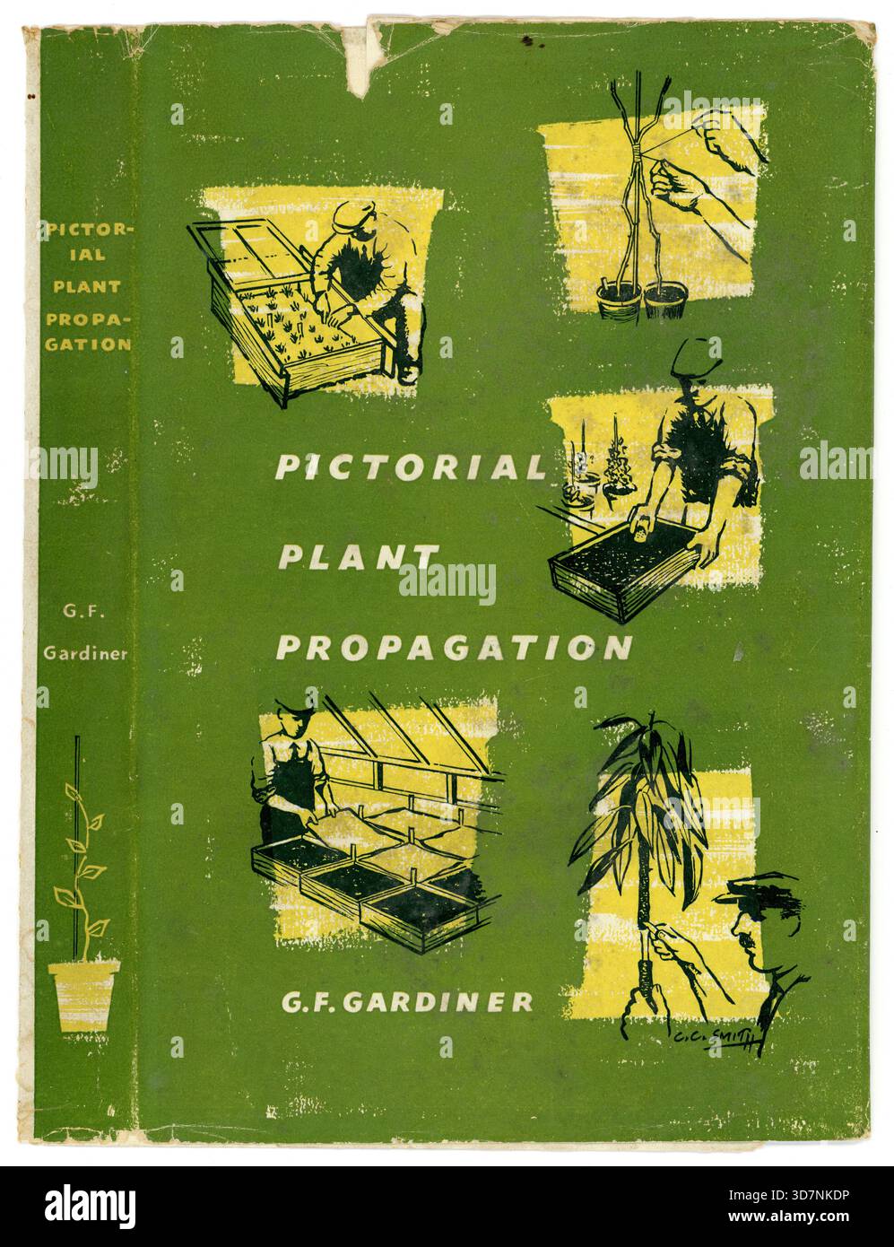 1956 archives Cut Out Stock Images & Pictures - Alamy