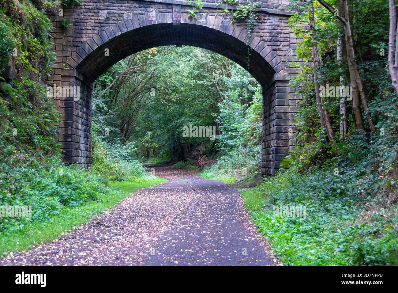 Upper Don Trail, (walking and cycling), along old railway line ...