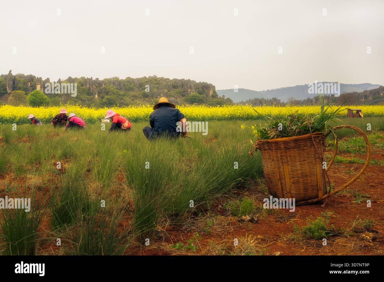 Yun nan sheng hi-res stock photography and images - Alamy