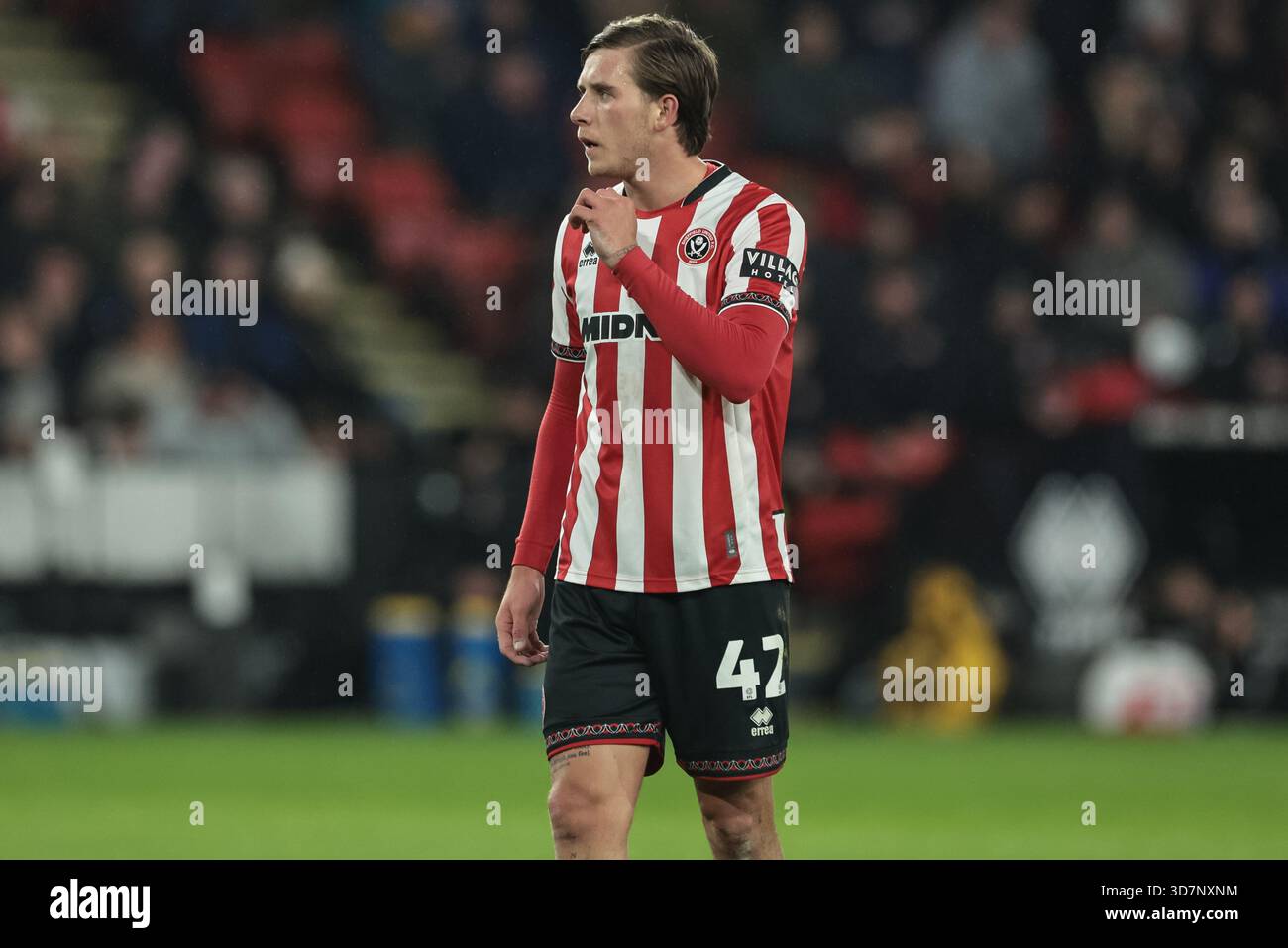 Sydie Peck of Sheffield United during the Sky Bet Championship match ...