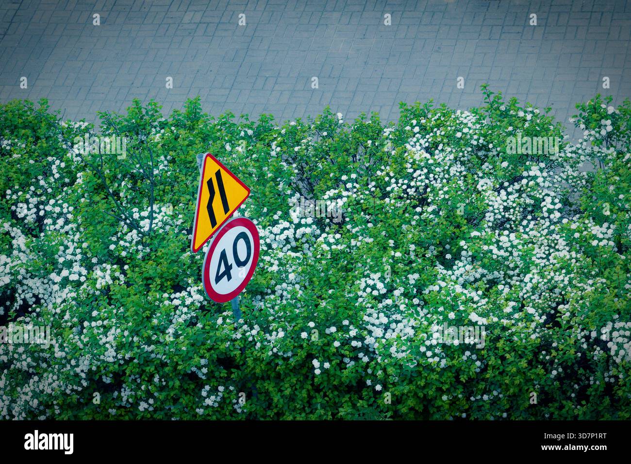 Speed limit sign covered up hi-res stock photography and images - Alamy