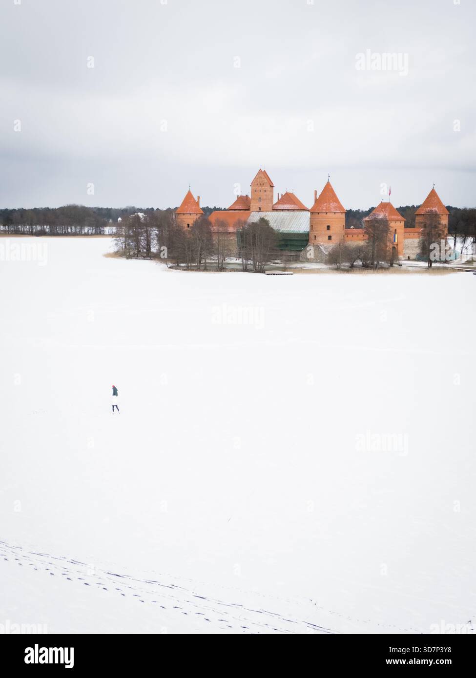 Aerial view of the red-brick Trakai Island Castle standing out against ...