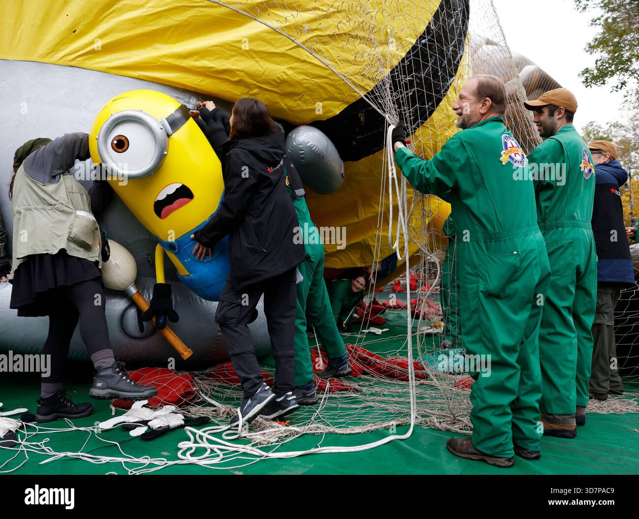 The Stuart The Minion Balloon is assembled under a net on the eve of ...