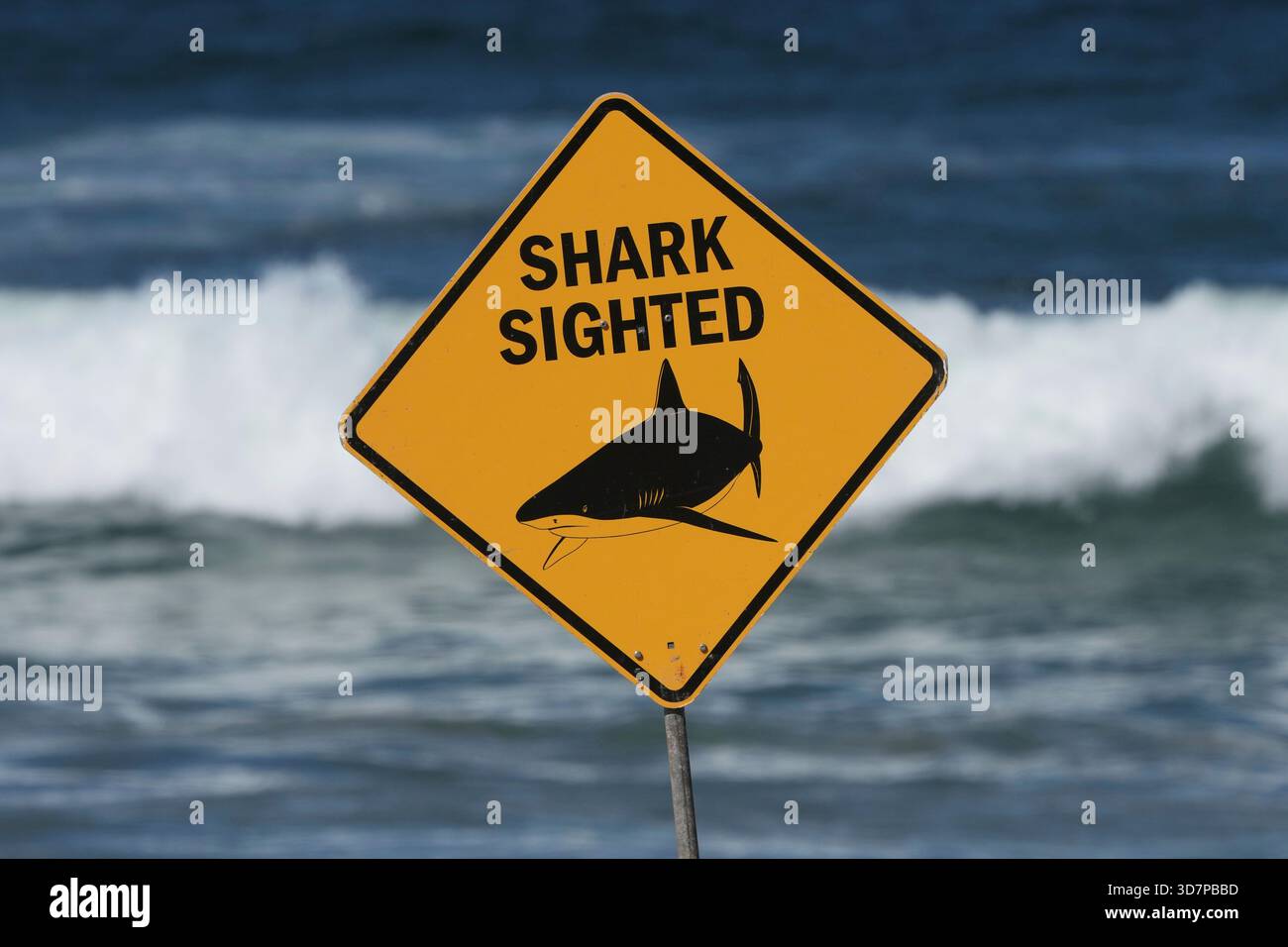 FILE - A sign is seen at the site of a fatal shark attack at Dee Why ...