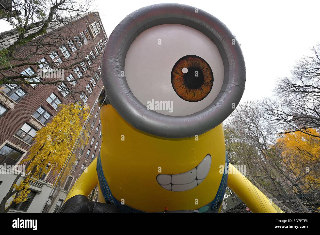 The 'Minions' balloon rests under protective netting during Macy's ...