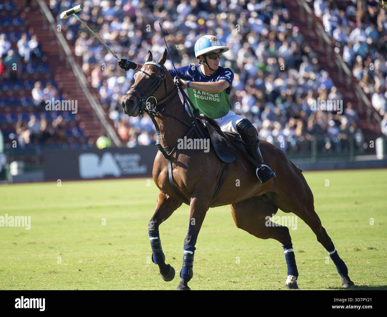 Polo player Adolfo Cambiaso called Poroto from the La Natividad La ...