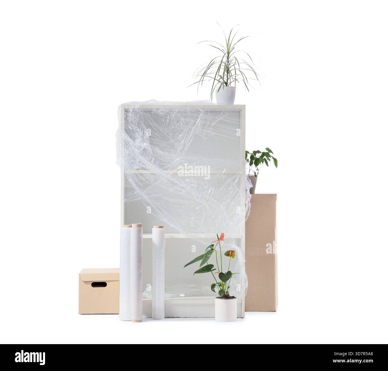 Shelving unit wrapped in stretch film, cardboard boxes and houseplants ...