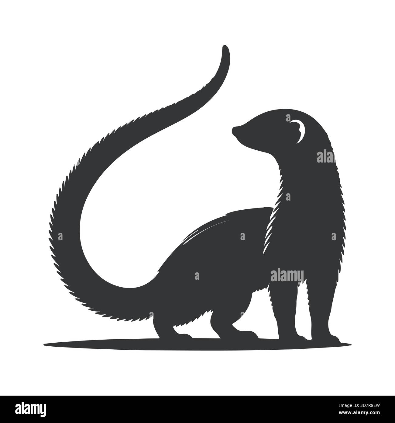 Boy media icons Black and White Stock Photos & Images - Alamy