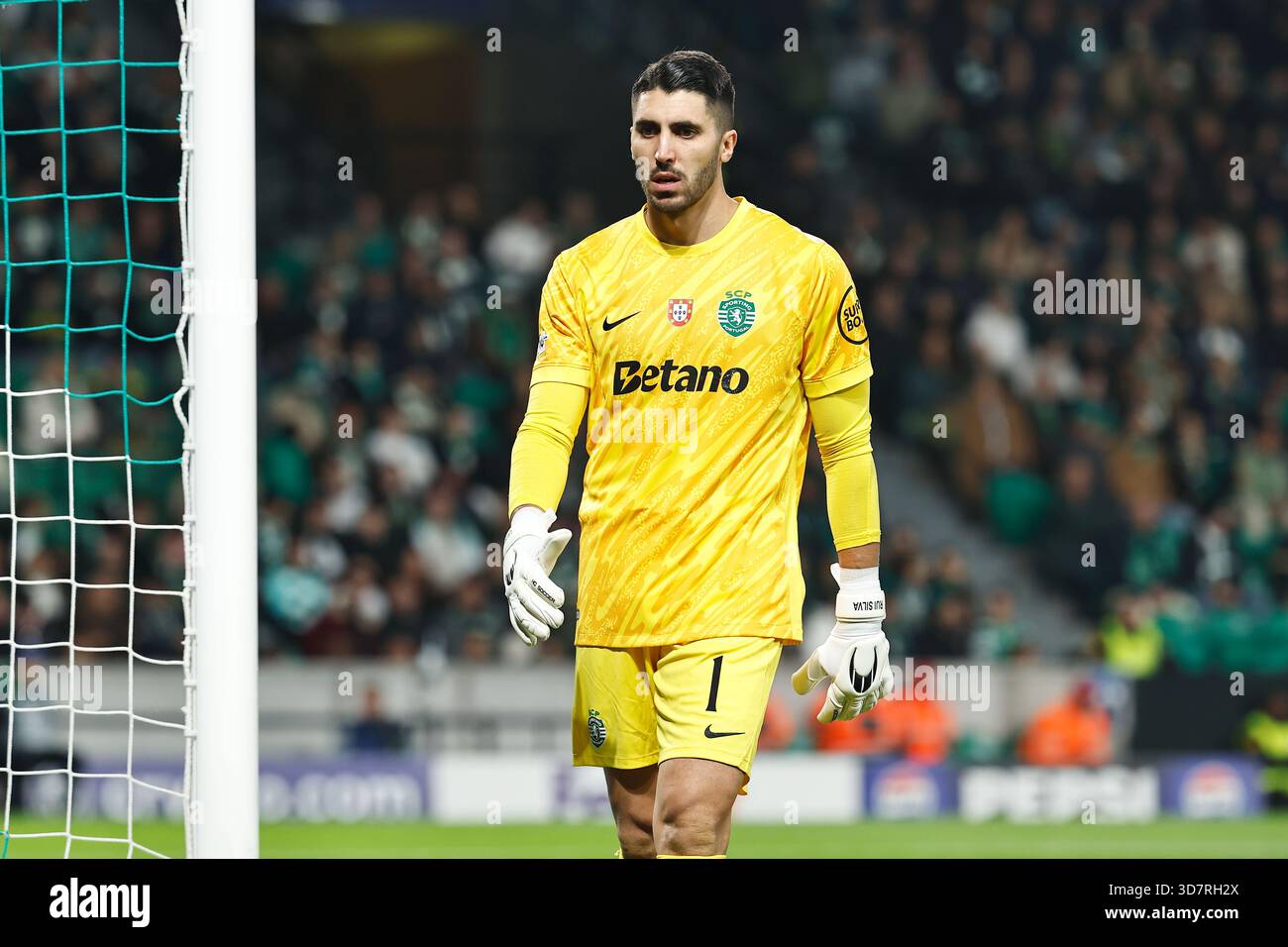 Rui Silva (SportingCP), NOVEMBER 26, 2025 - Football / Soccer : UEFA ...