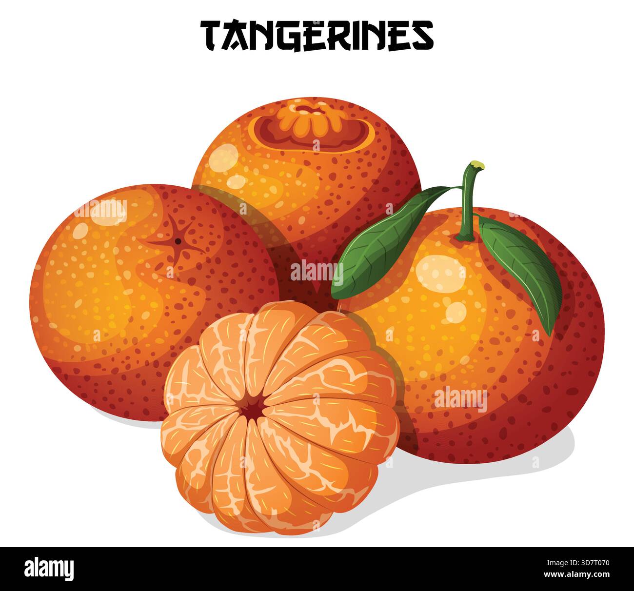 Peeled orange mandarin clementine Stock Vector Images - Alamy