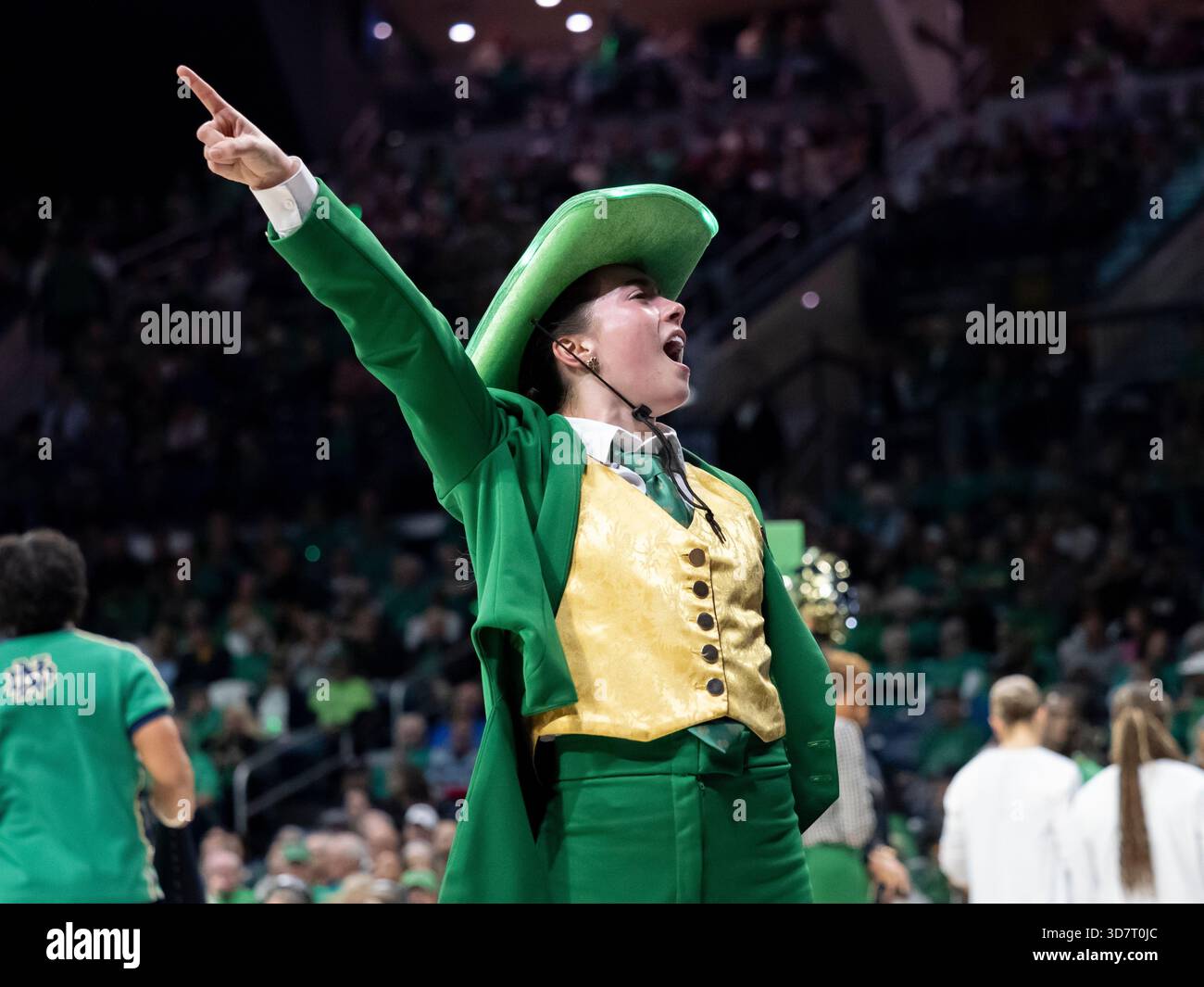 SOUTH BEND, IN - NOVEMBER 21: The Notre Dame Fighting Irish mascot ...