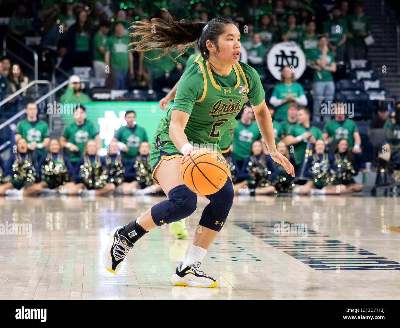 SOUTH BEND, IN - NOVEMBER 21: Notre Dame Fighting Irish guard Vanessa ...