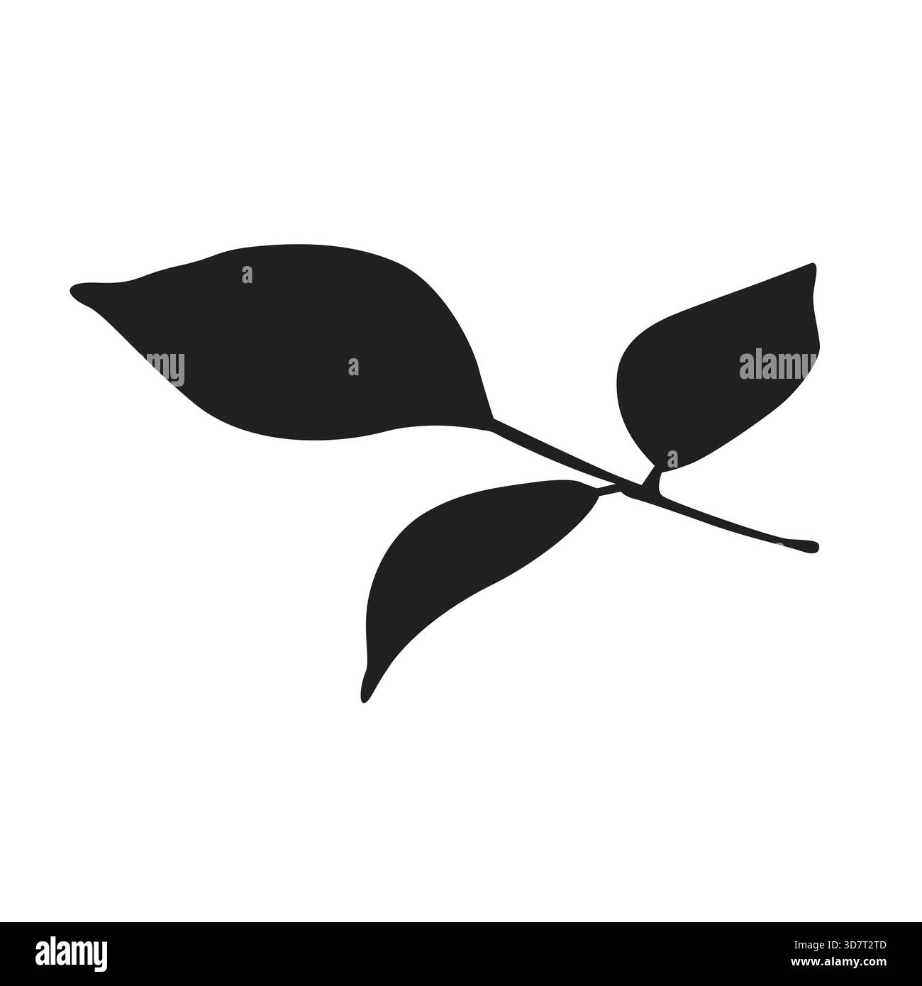 Simple black white leaves Black and White Stock Photos & Images - Alamy