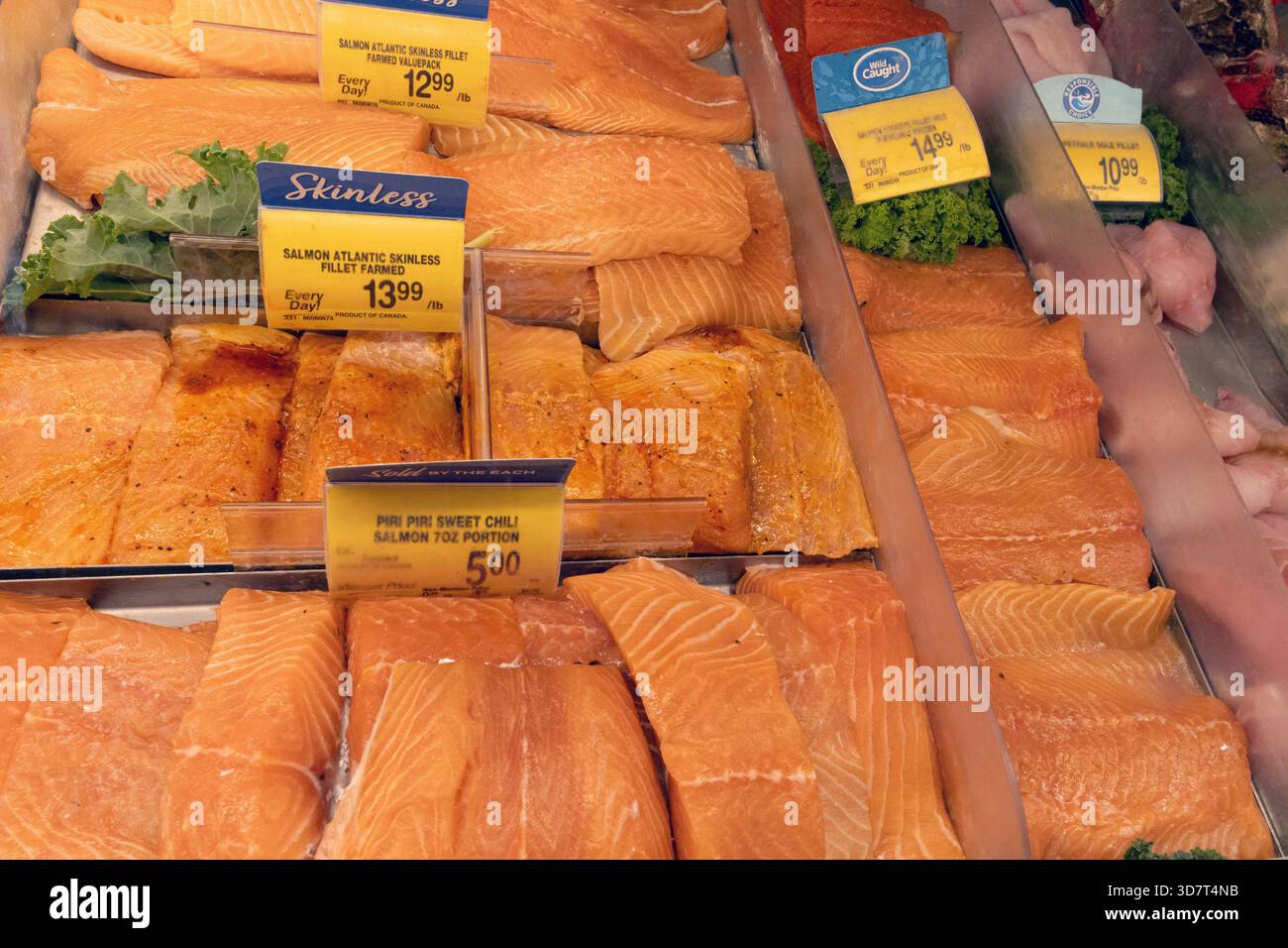 Fresh and Marinated Salmon Fillets at Grocery Store Seafood Counter ...