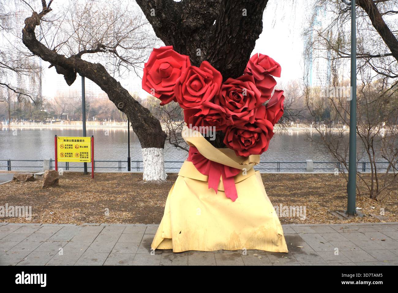 Trees are put on brightly colored "sweaters" for winter at a park in ...