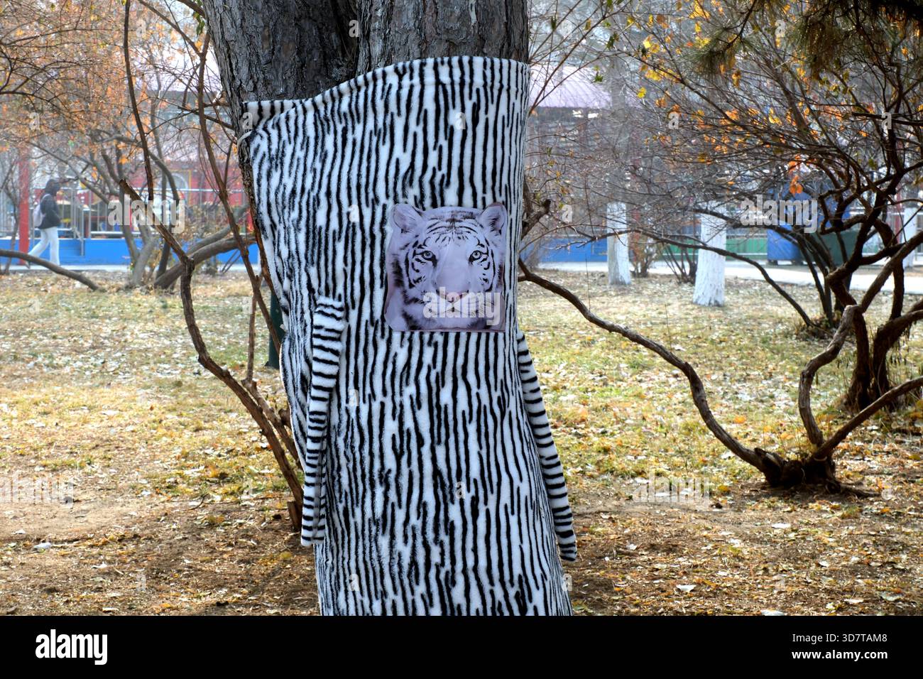 Trees are put on brightly colored "sweaters" for winter at a park in ...