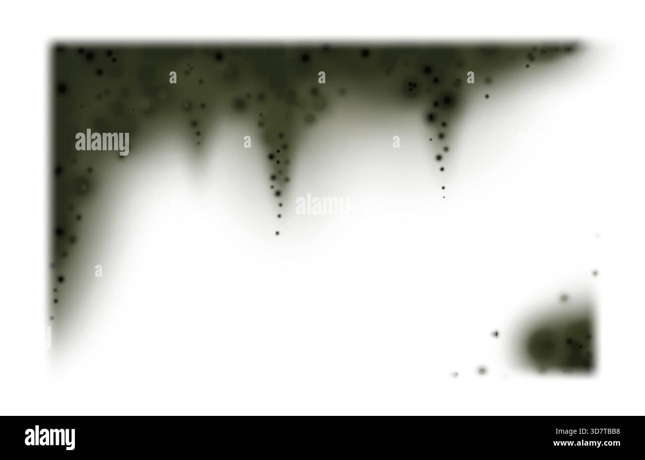 Black mold spot in the corner. Vector Stock Vector Image & Art - Alamy
