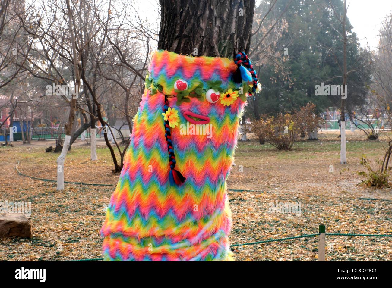 Trees are put on brightly colored "sweaters" for winter at a park in ...