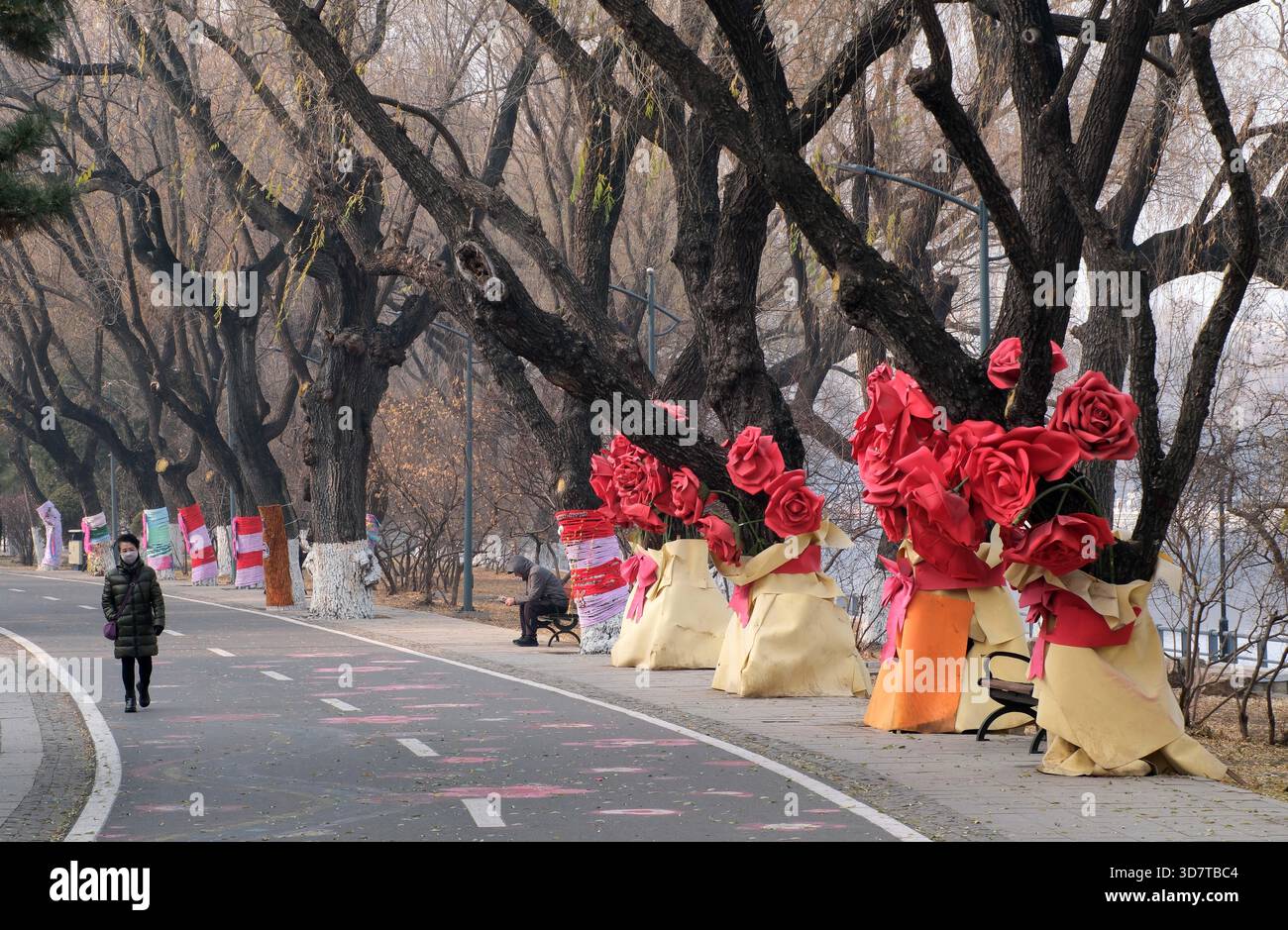 Trees are put on brightly colored "sweaters" for winter at a park in ...