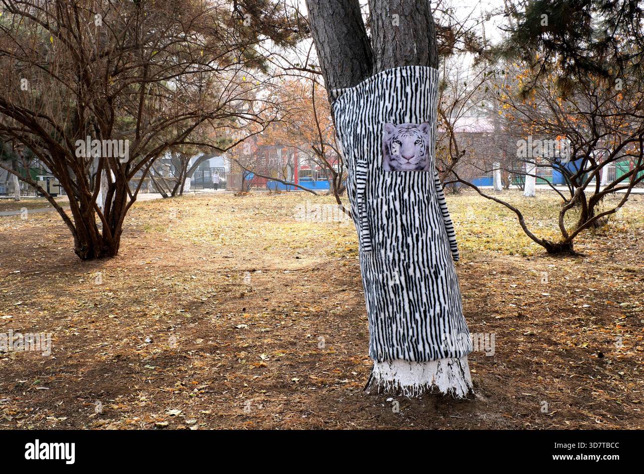 Trees are put on brightly colored "sweaters" for winter at a park in ...