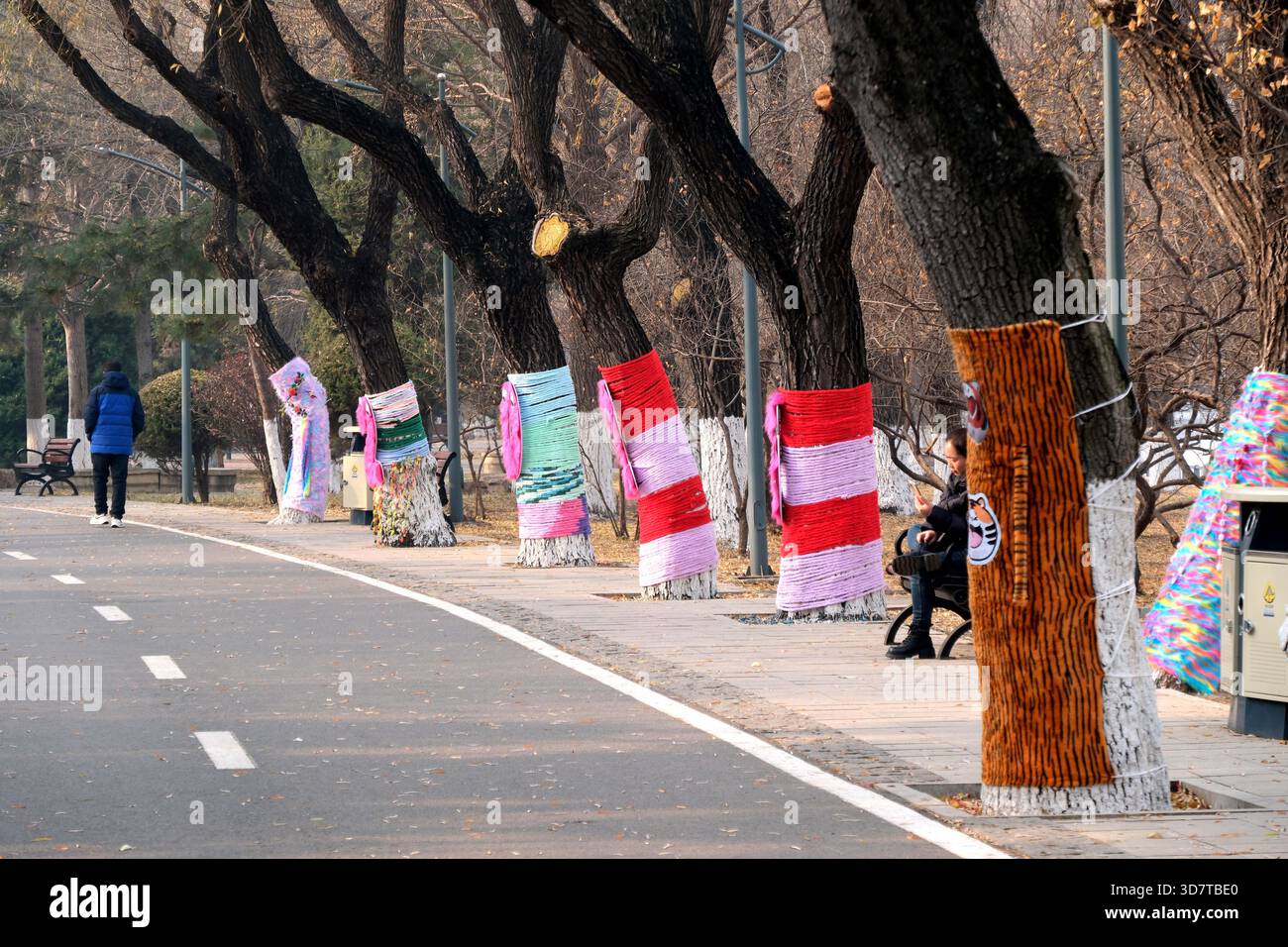 Trees are put on brightly colored "sweaters" for winter at a park in ...