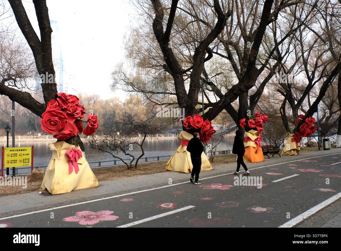 Trees are put on brightly colored "sweaters" for winter at a park in ...
