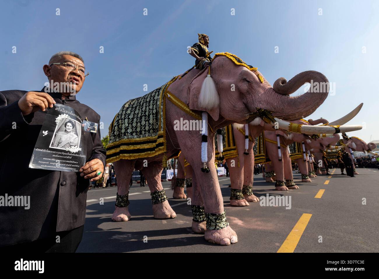 A mourner holds a portrait of the late Queen Mother Sirikit as elephant ...