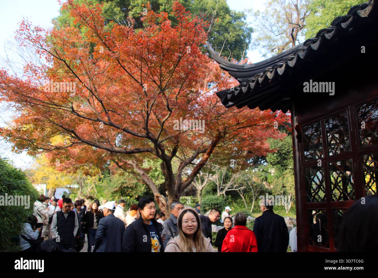 Tourists admire maple trees at the Humble Administrator's Garden in ...