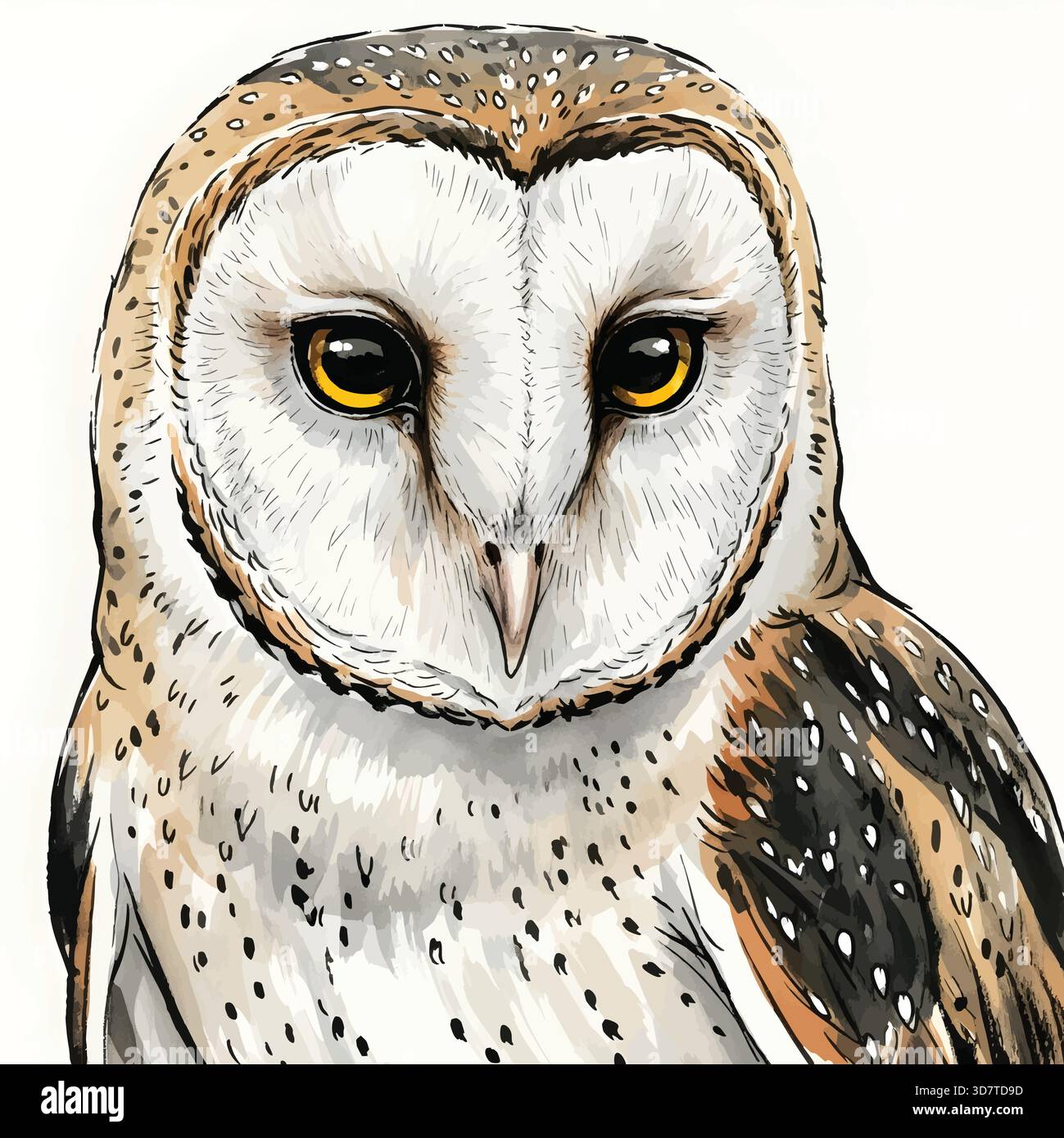 Close up face dark background Stock Vector Images - Alamy