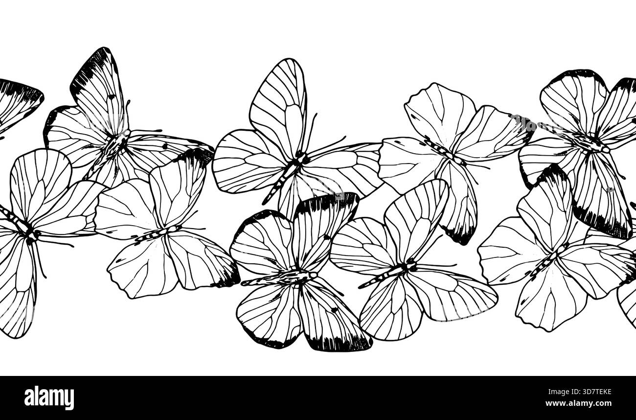 Wings have a black border Stock Vector Images - Alamy