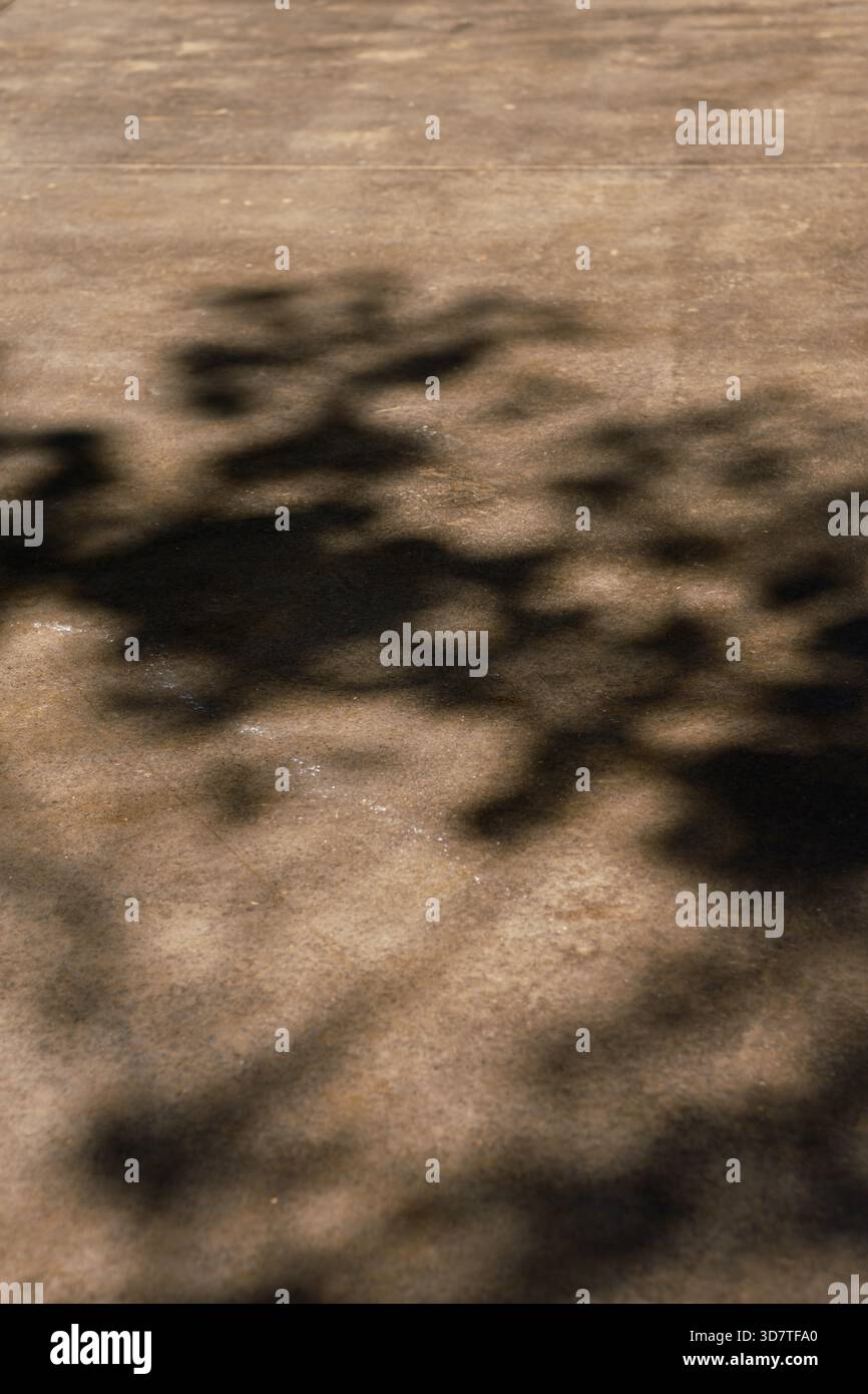 Abstract patterns of dappled leaf shadows falling on a rough, textured ...