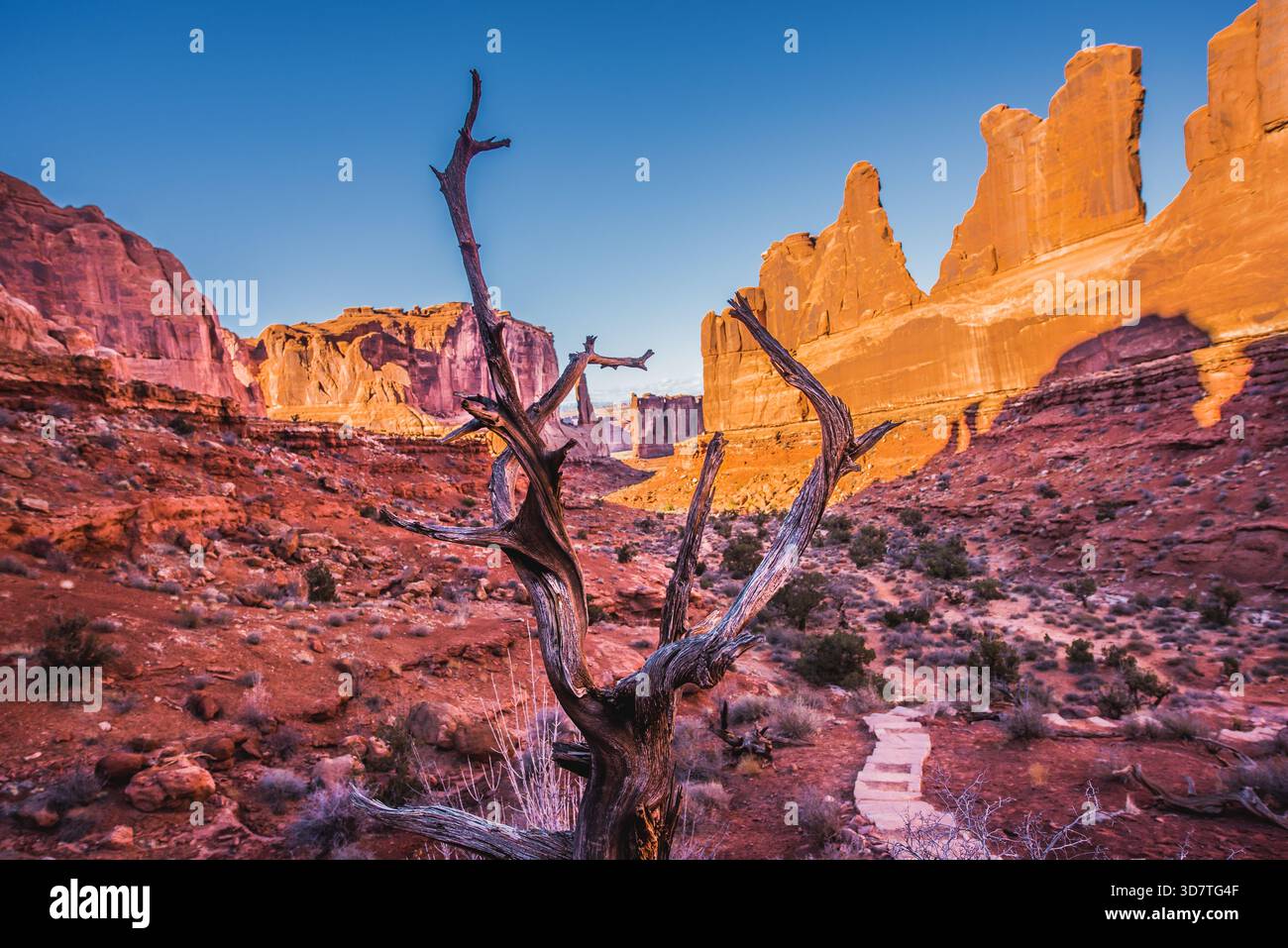 Vibrant color view of Arches National Park, Utah, featuring its iconic ...