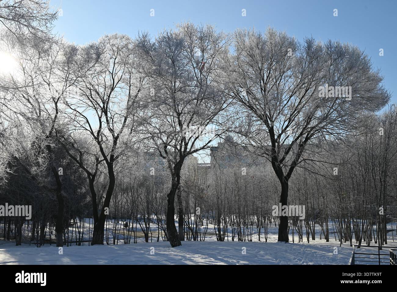 Rime scenery in Heihe City, northeast China's Heilongjiang Province, 25 ...