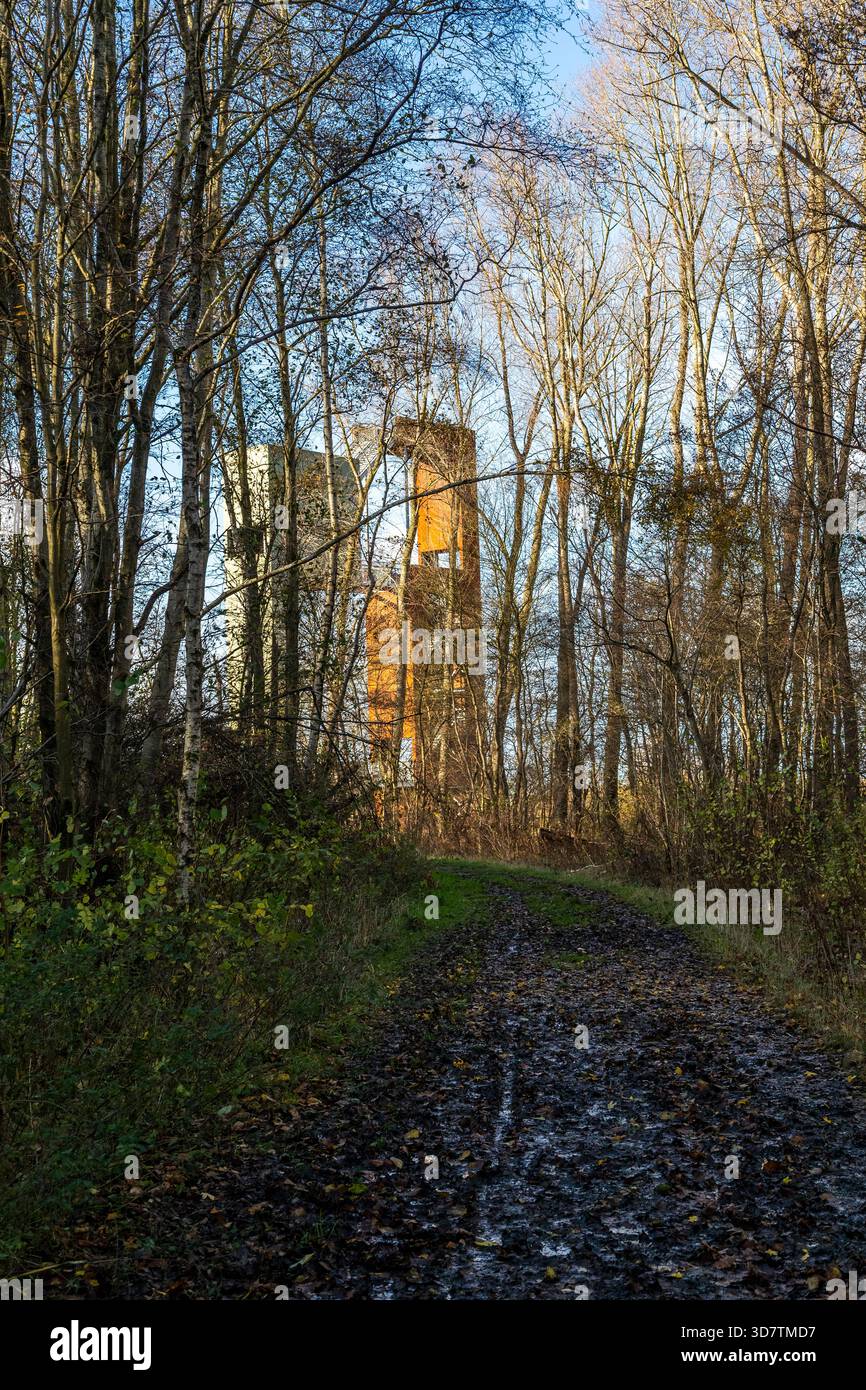 The 25 metre tall Uitkijktoren Reiddomp tree top observatory, means the ...