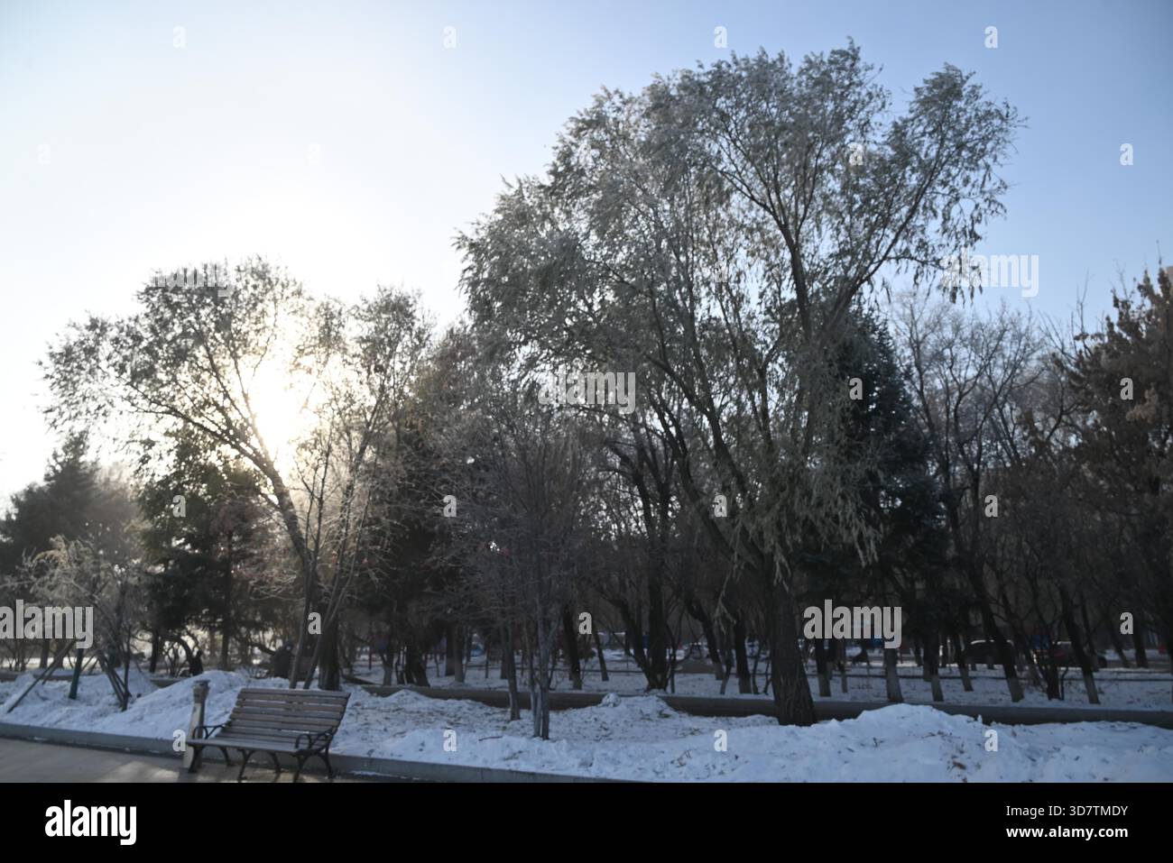 Rime scenery in Heihe City, northeast China's Heilongjiang Province, 25 ...