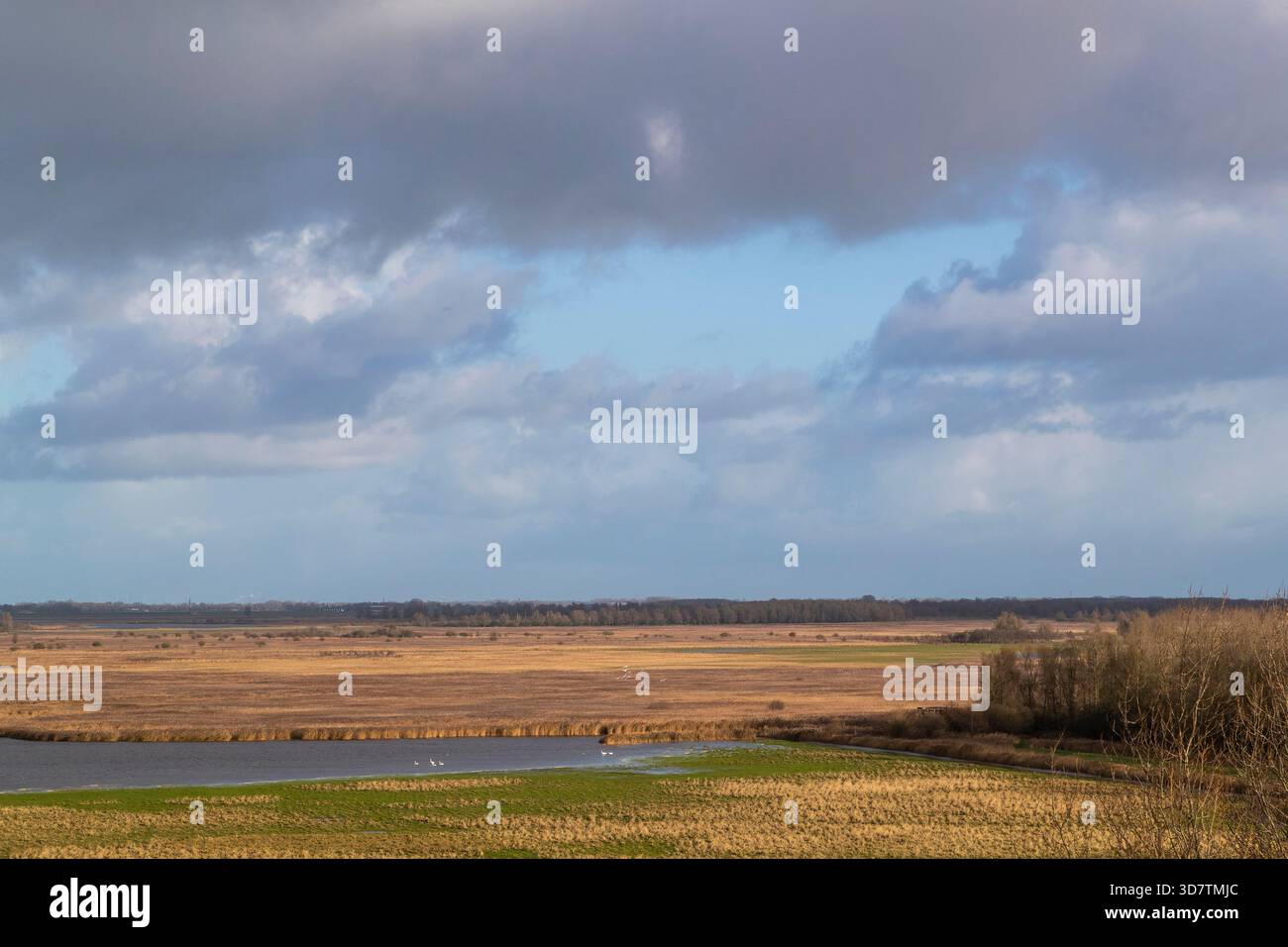 View from the 25m tall Uitkijktoren Reiddomp tree top observatory ...