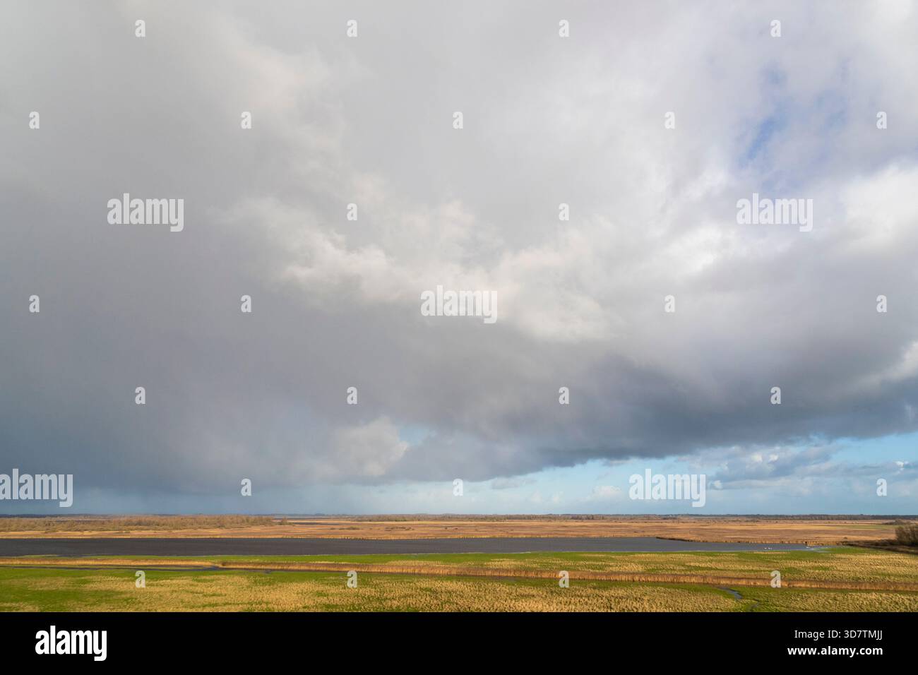 View from the 25m tall Uitkijktoren Reiddomp tree top observatory ...