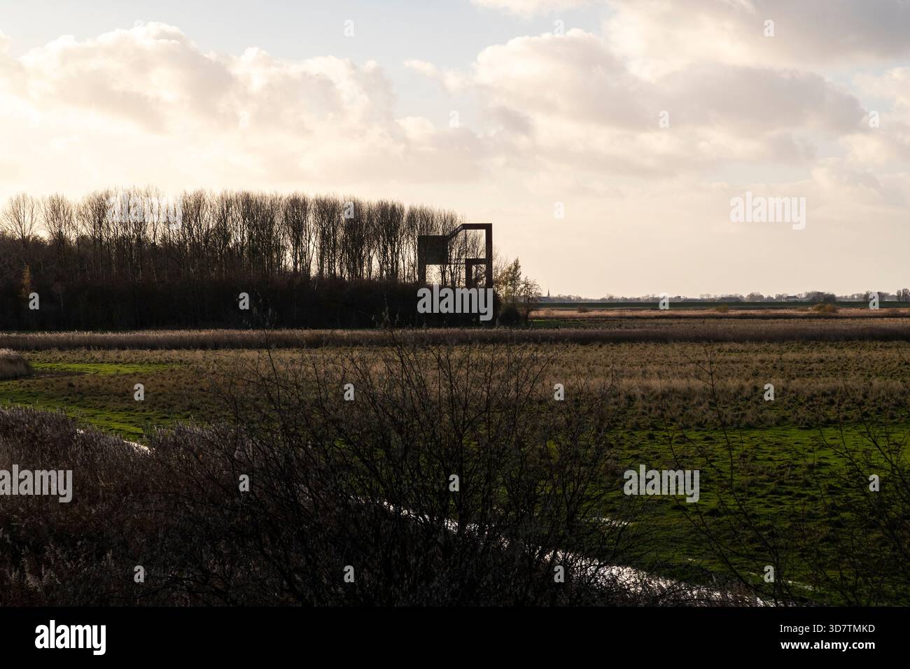 The 25 metre tall Uitkijktoren Reiddomp tree top observatory, means the ...
