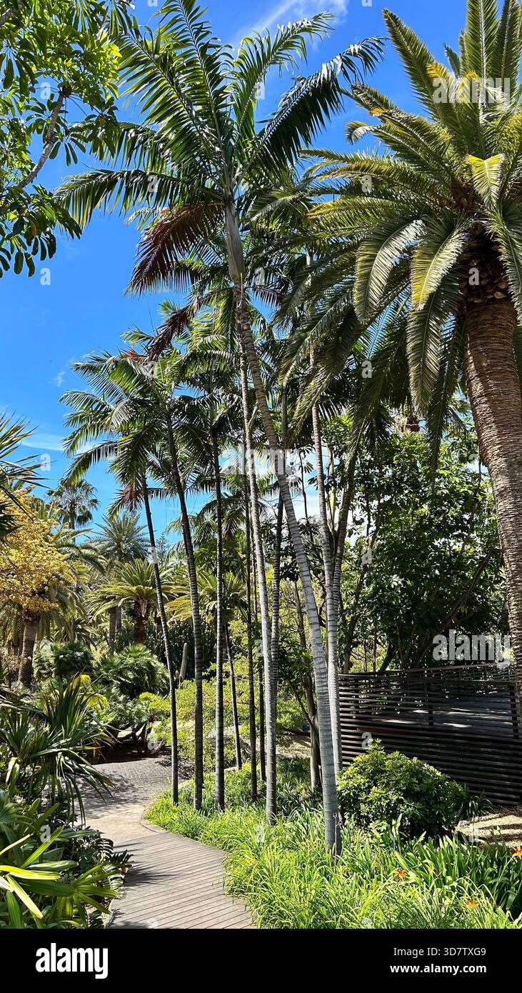 Digital archive tropical hi-res stock photography and images - Alamy