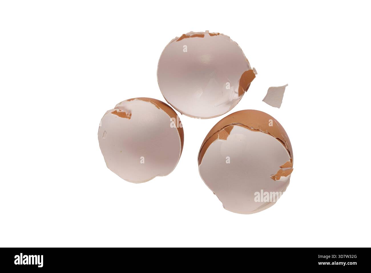 3 egg shells Stock Photo - Alamy