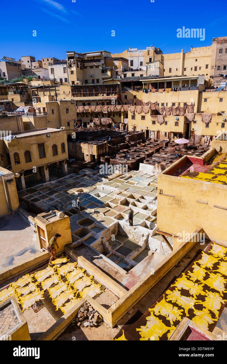 Traditional tannery with numerous drying leather hides and tan stone ...