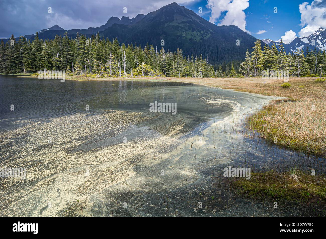 Scenic mountain landscape with a lake, evergreen forest, and blue sky ...
