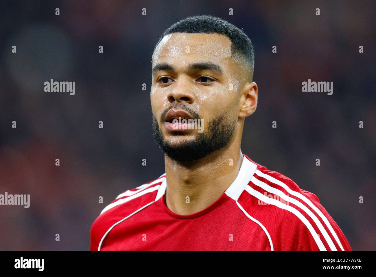 Liverpool, England, 26th November 2025. Cody Gakpo of Liverpool during ...