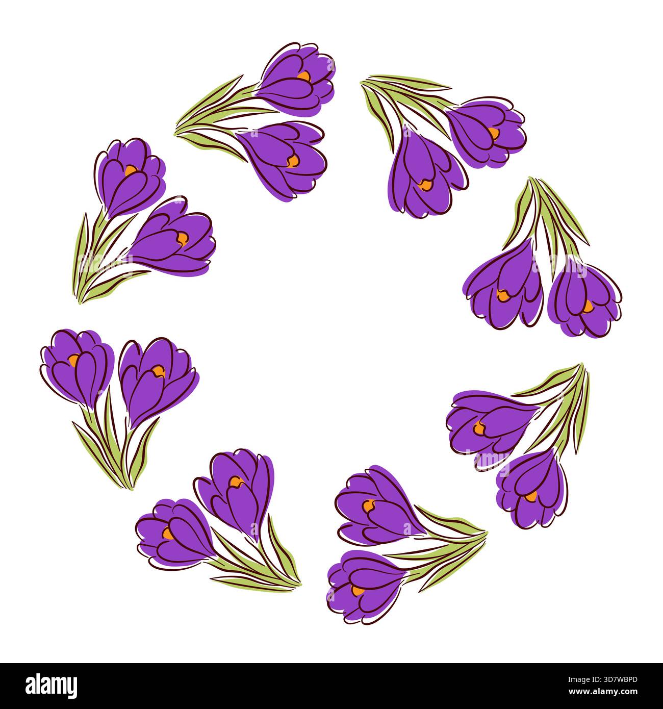 Crocus leaves isolated on Stock Vector Images - Alamy