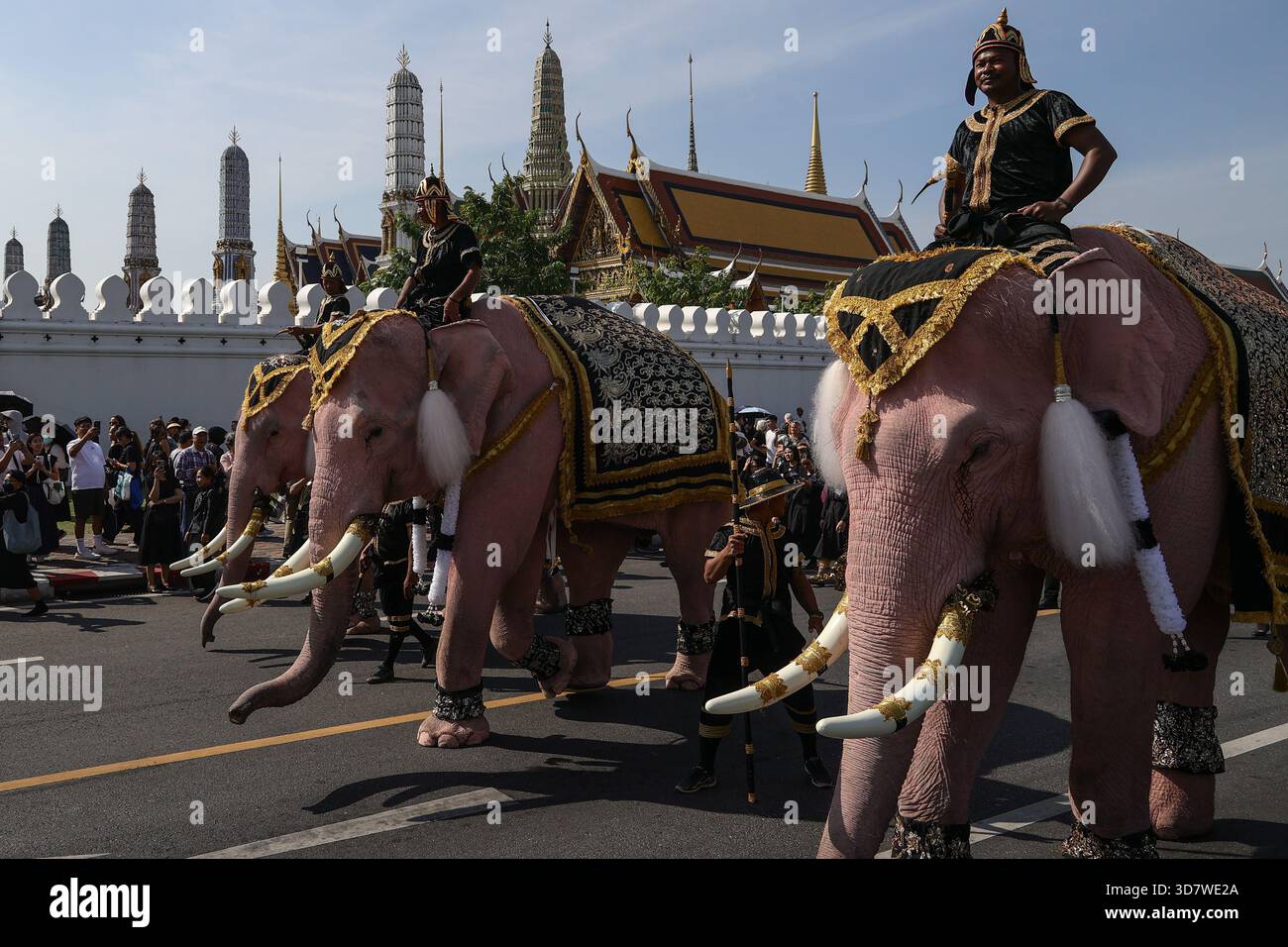 Bangkok 20 november 2025 thailand hi-res stock photography and images ...