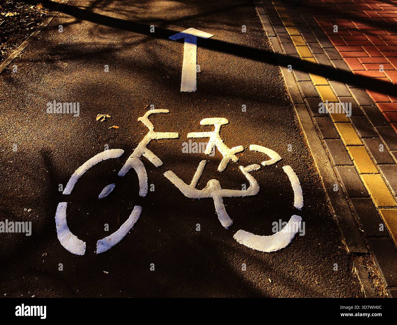 Bicycle lane marking with directional white arrow on asphalt pavement ...