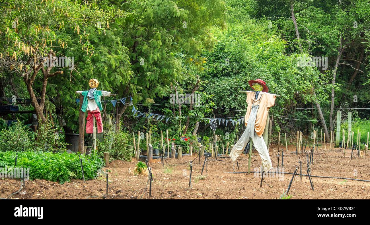 Two ragged figures hi-res stock photography and images - Alamy