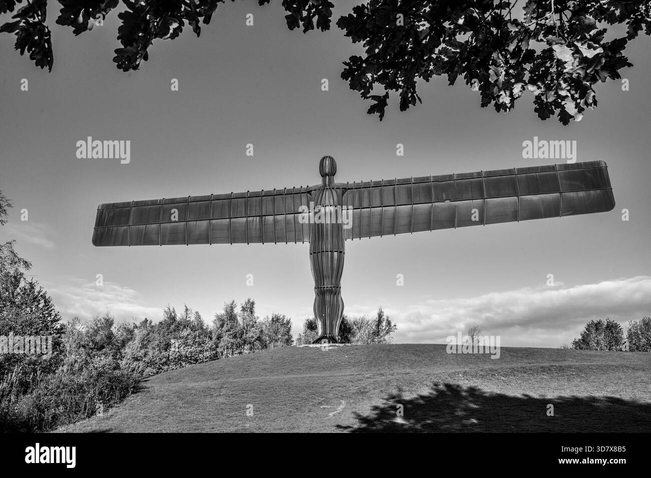 The image is of the amazing Gateshead, Angel of the North, 20metre high ...