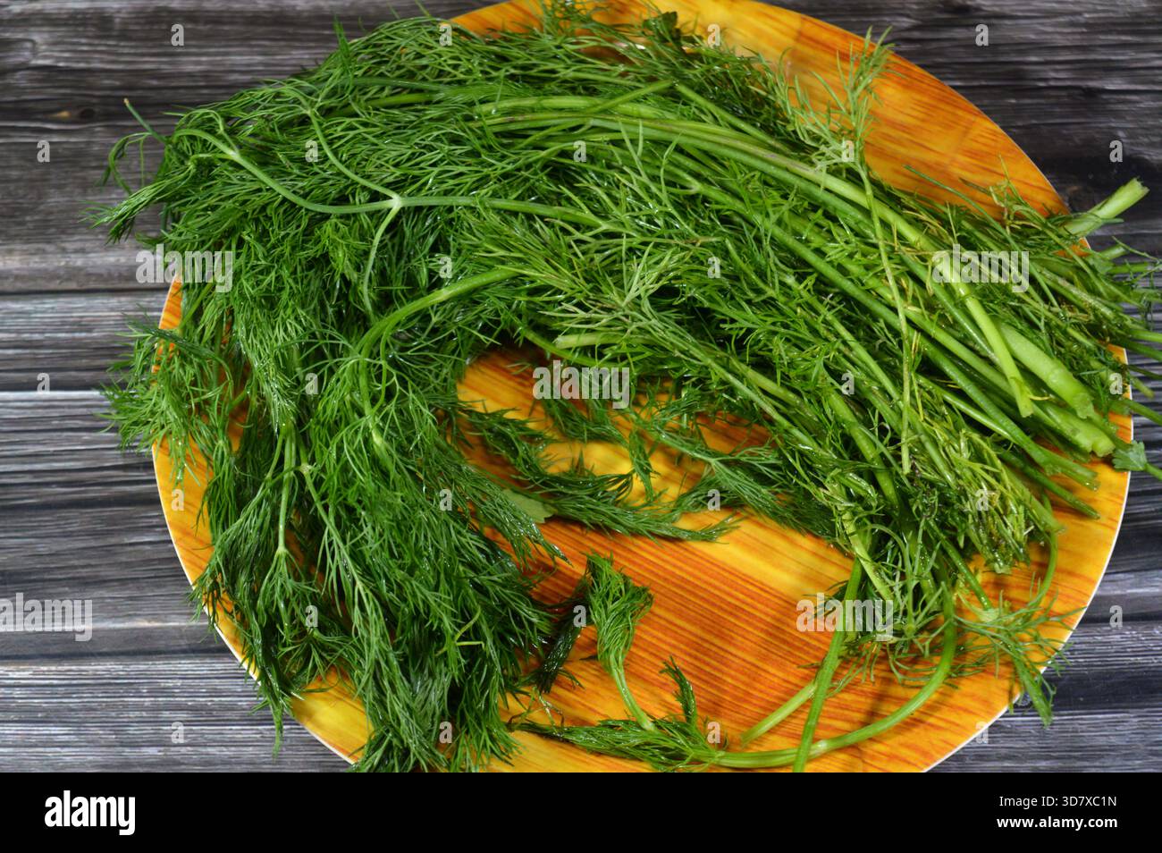 Dill, an aromatic annual herb from the celery family, Anethum ...